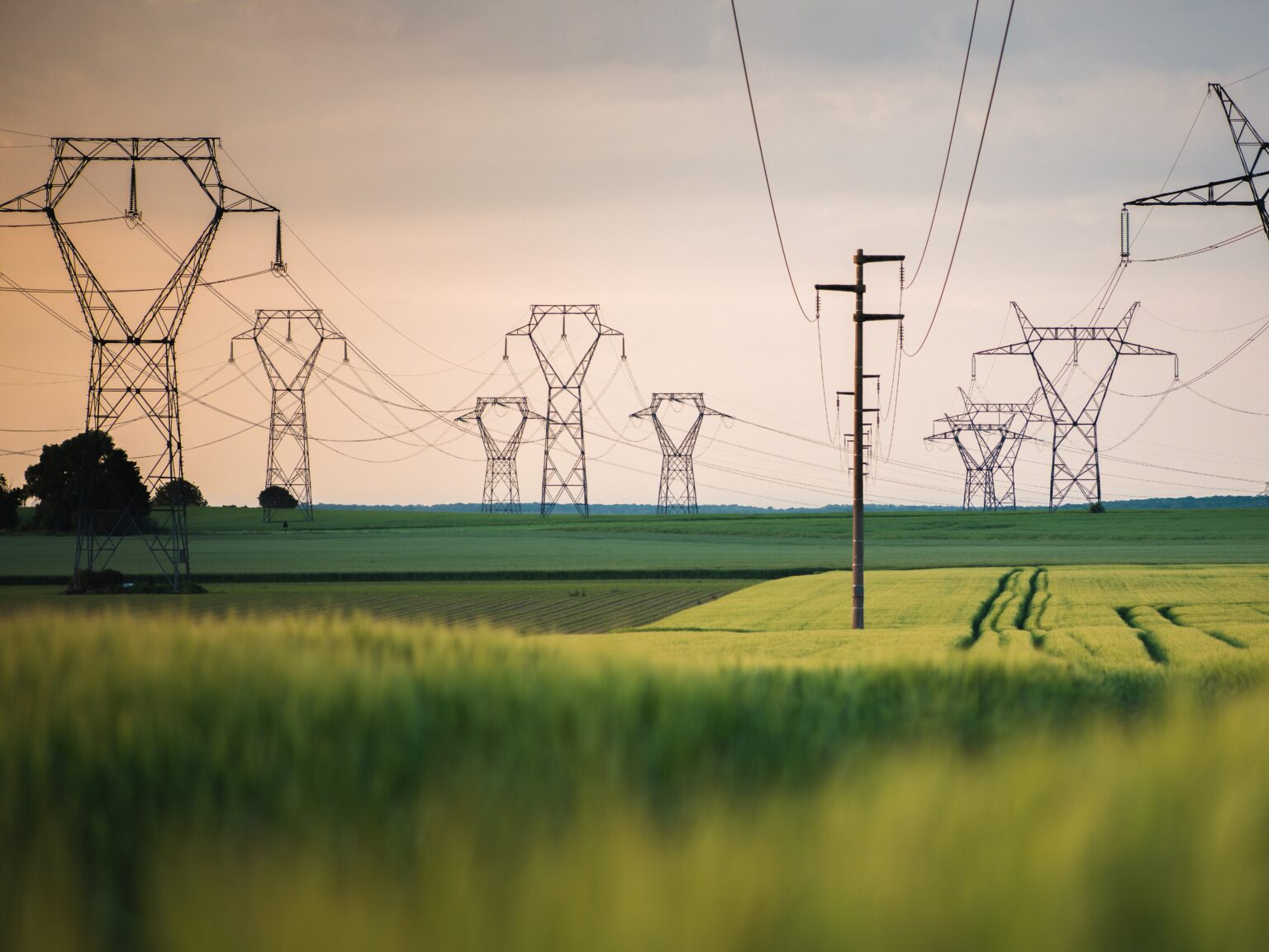 Home - Timera Energy