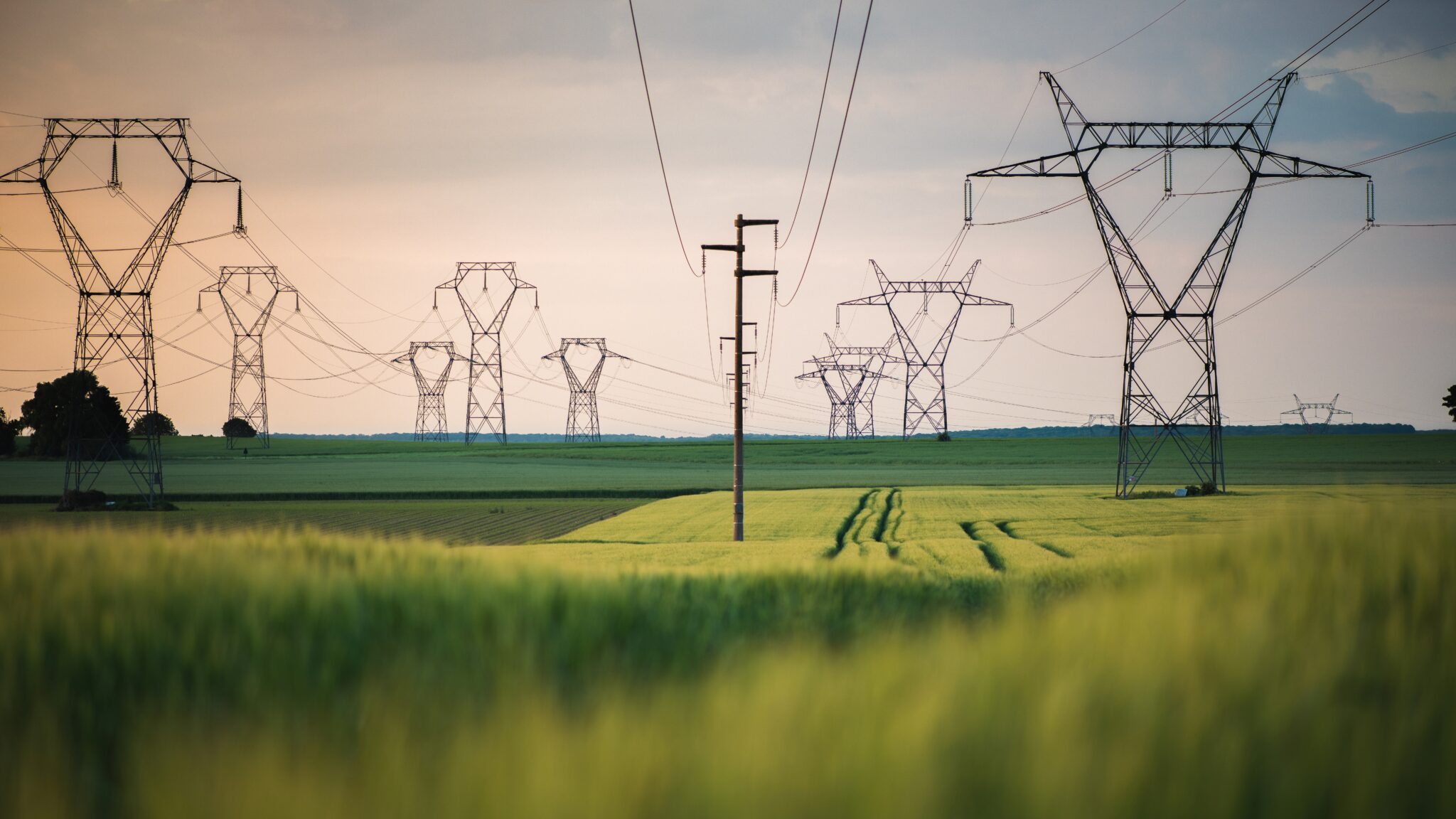 Blog - Timera Energy