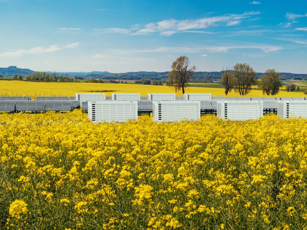 Blog - Timera Energy