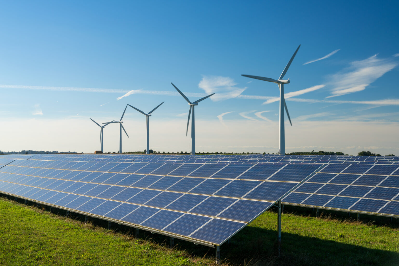 Blog - Timera Energy
